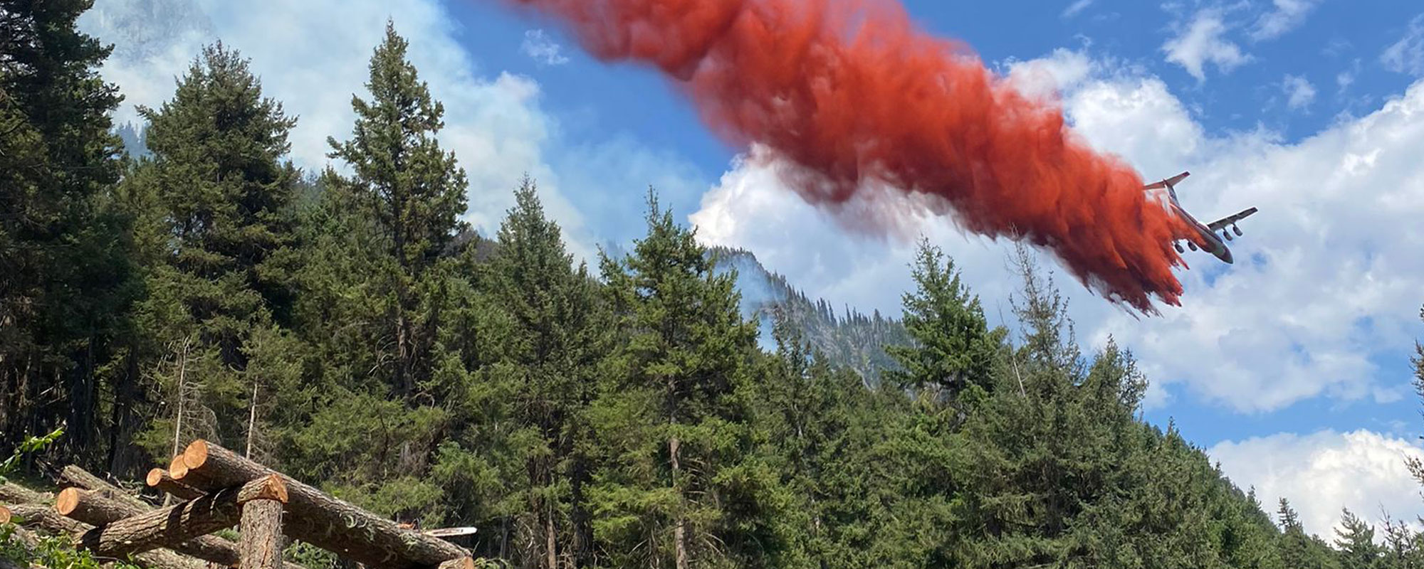 CSS Group Partners with the IWA to Support Global Fire Resilience - CSS ...